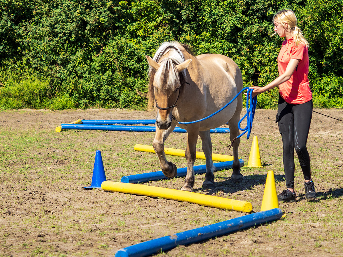 Trainen met obstakels – LoveLance.nl